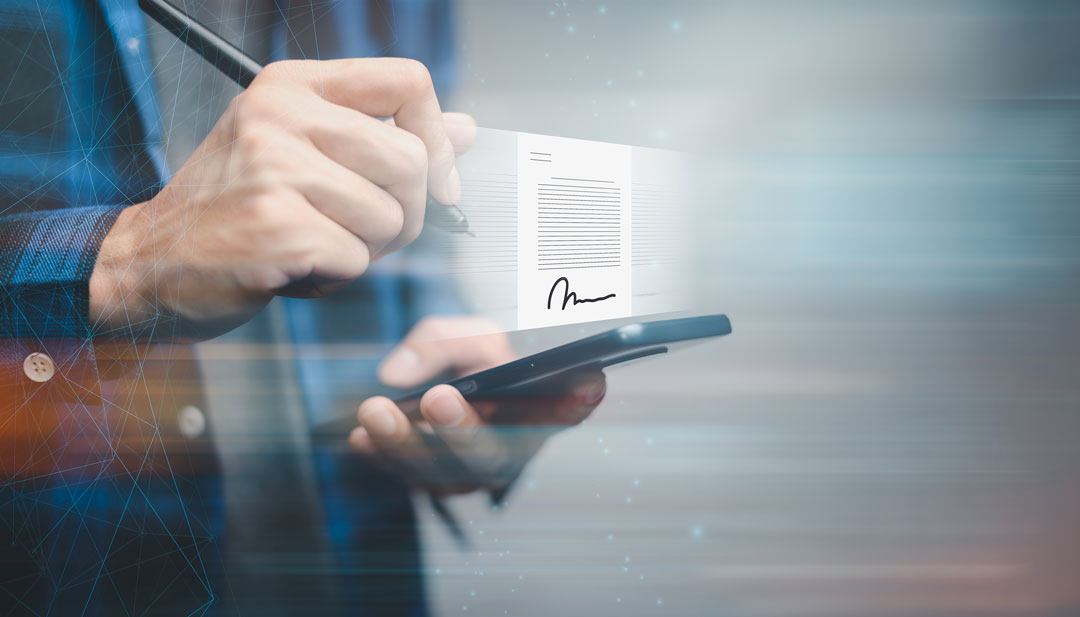 ¿Qué es Internet Computer Protocol (ICP)? • CryptoConexión